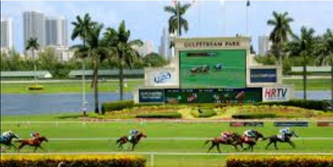 Ippica, Oggi in tv, 9 Aprile: Gulfstream Park e Gävle. Ecco tutte le ...