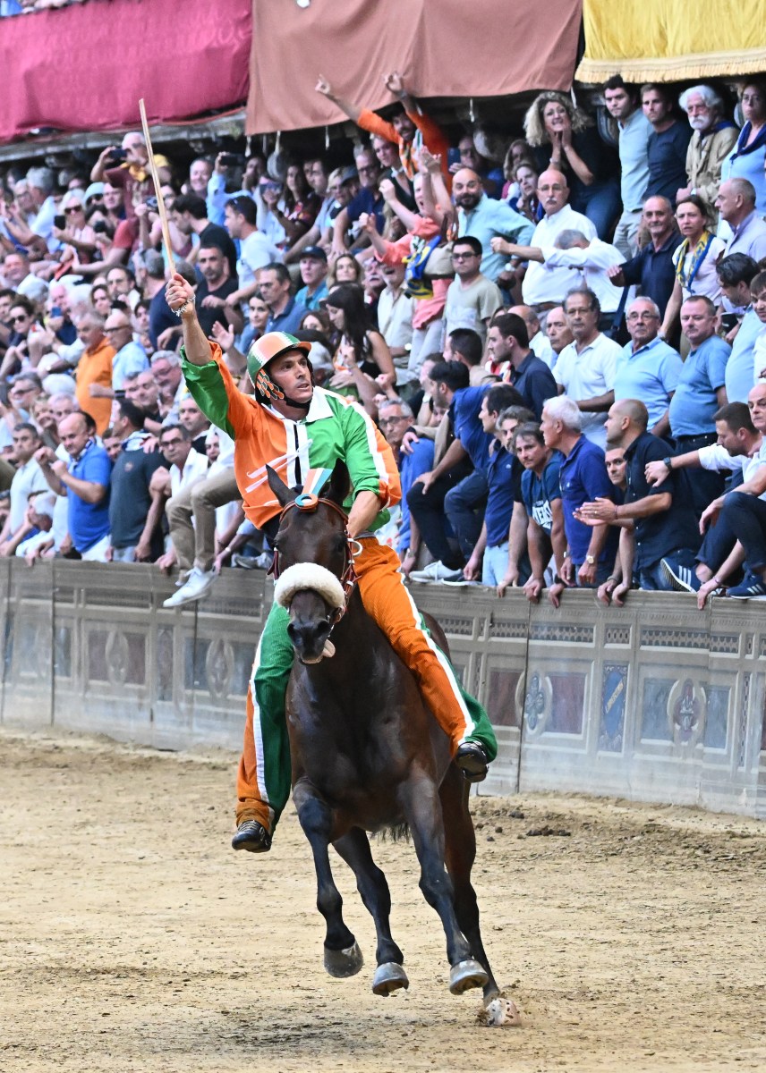 Palio di Siena, Contrada della Selva: il programma della Cena del ...